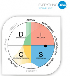 Everything DiSC® Assessment - Universal Human Resources
